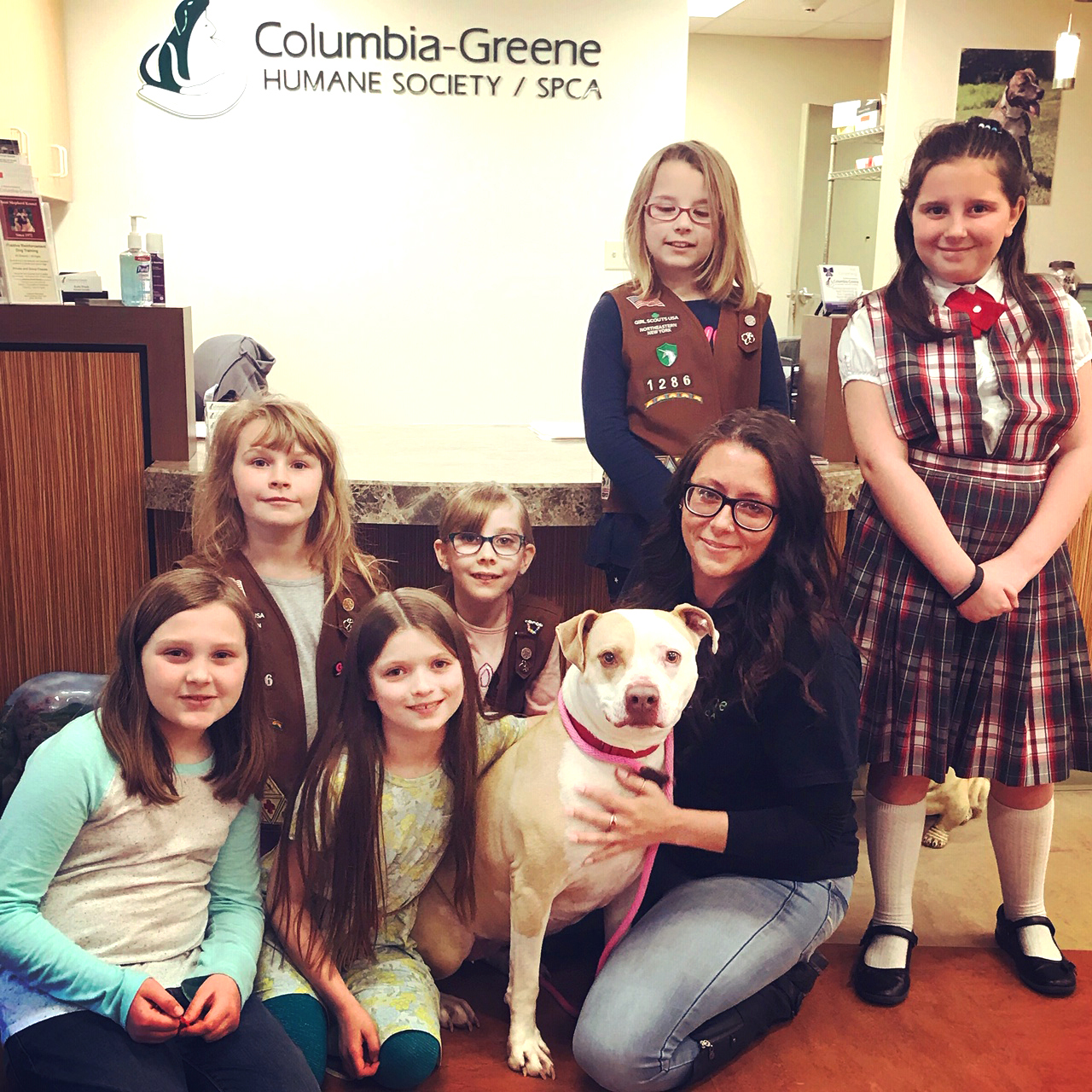 and then there’s Maude! | Columbia-Greene Humane Society/SPCA | Dogs ...