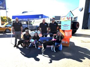 CGHS/SPCA would like to extend a heartfelt thank you to everyone who ...